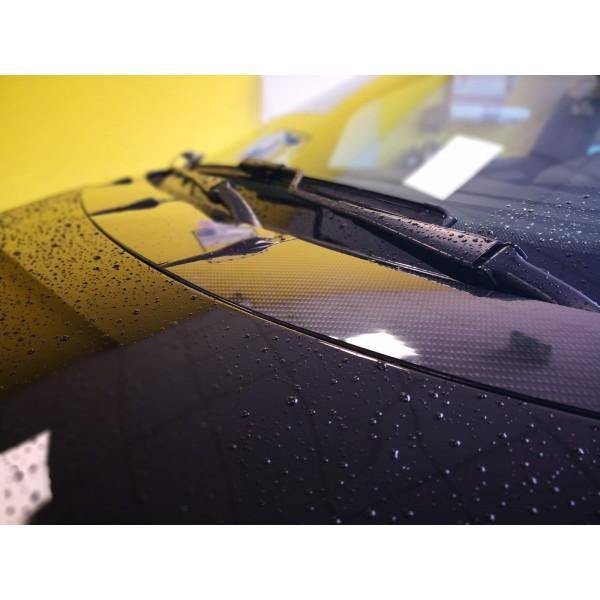 Abarth Punto Evo Carbon Lower Window Trim Deflector – Abarth Tuning
